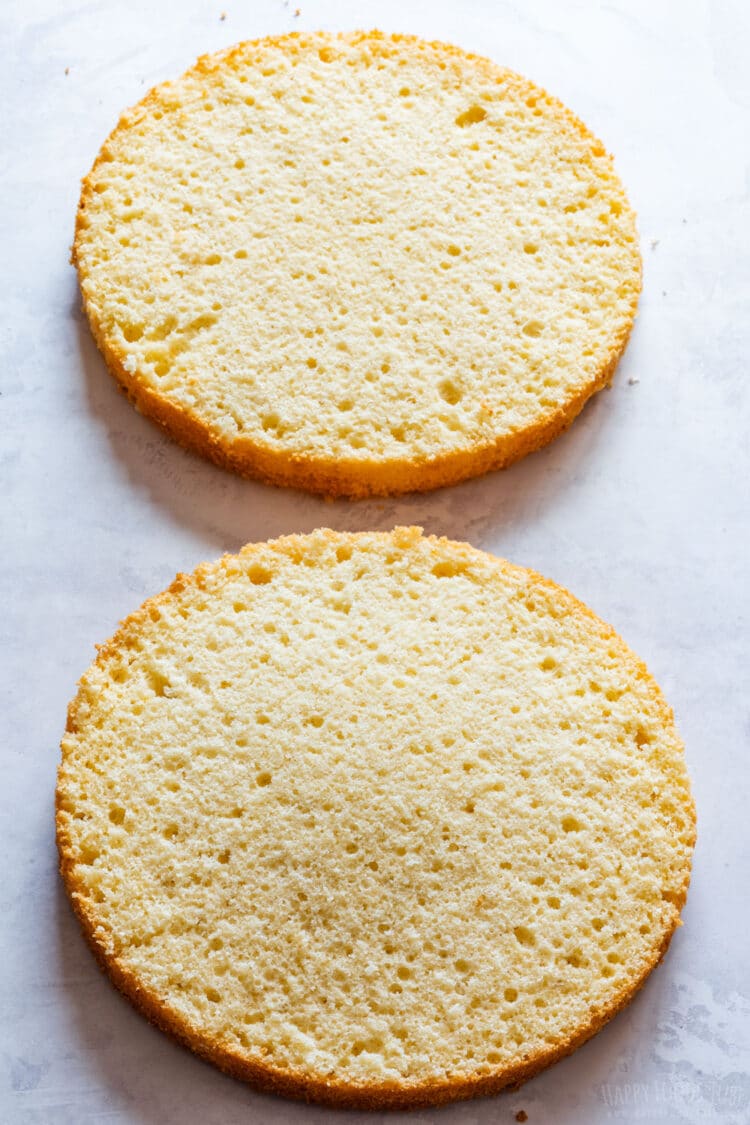 Basic Sponge Cake Recipe - Happy Foods Tube