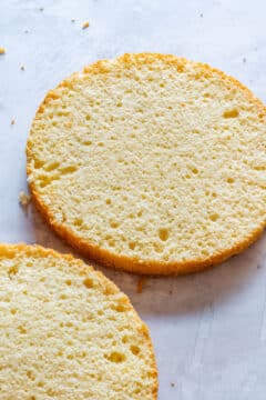 Basic Sponge Cake Recipe - Happy Foods Tube