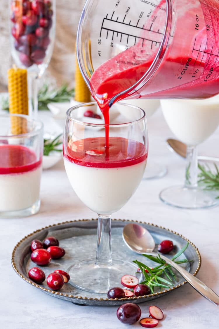 Cranberry Panna Cotta - Happy Foods Tube