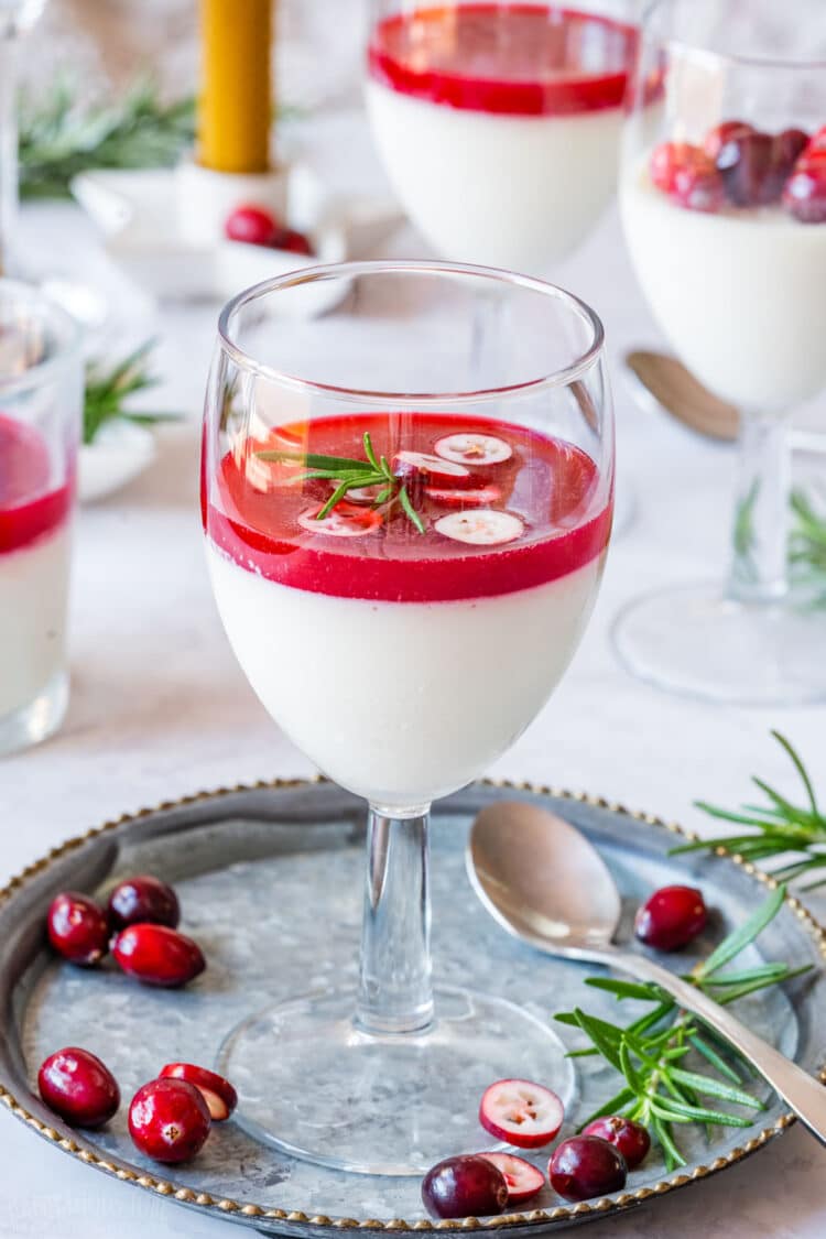 Cranberry Panna Cotta - Happy Foods Tube