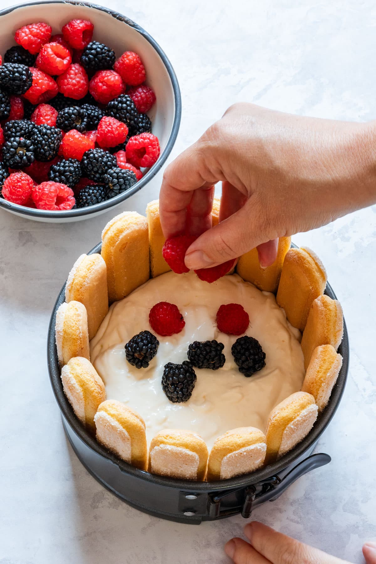 Berry Charlotte Cake Recipe - Happy Foods Tube