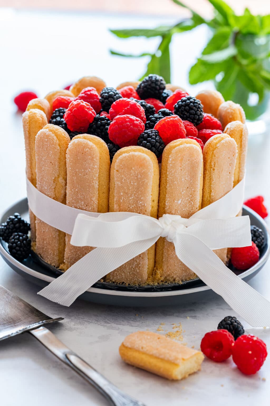 Berry Charlotte Cake Recipe - Happy Foods Tube